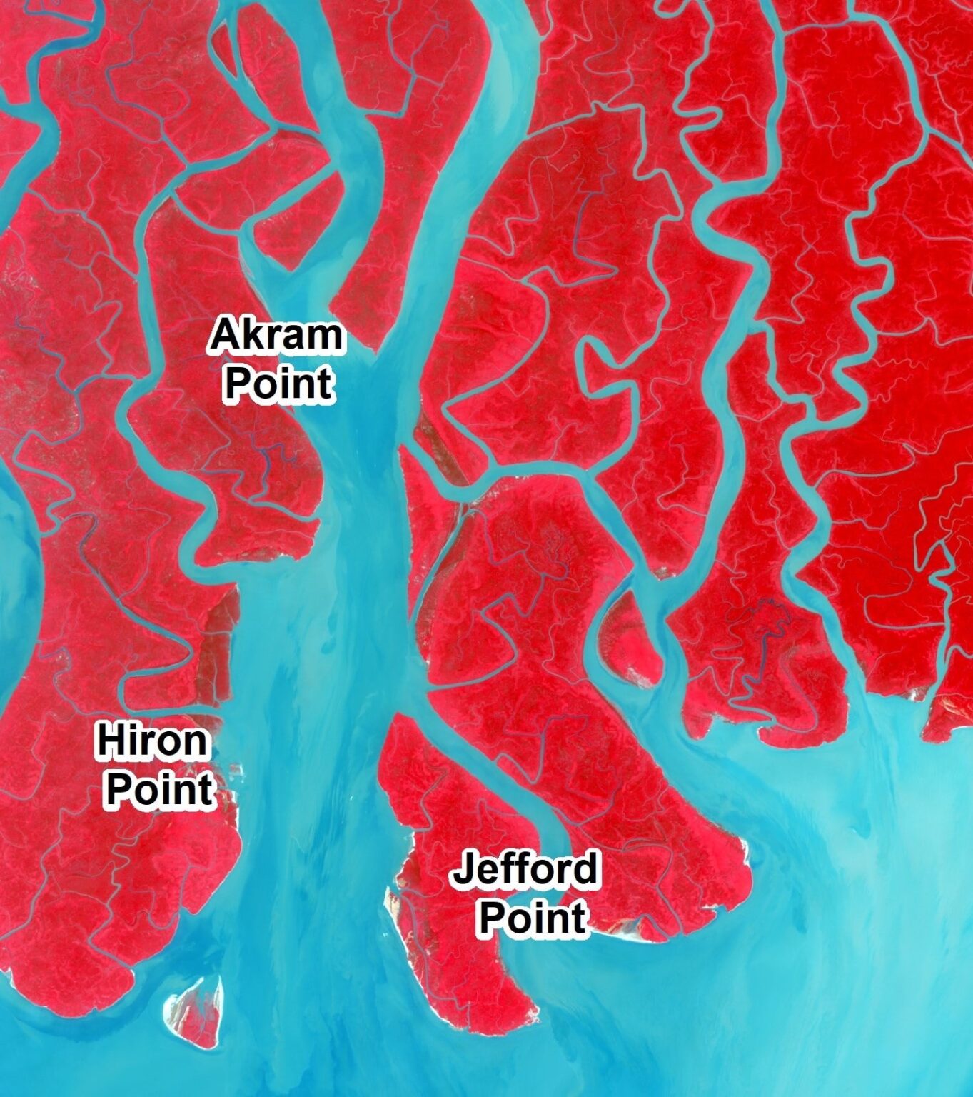 The Pasur River - Life is meaningless without Information