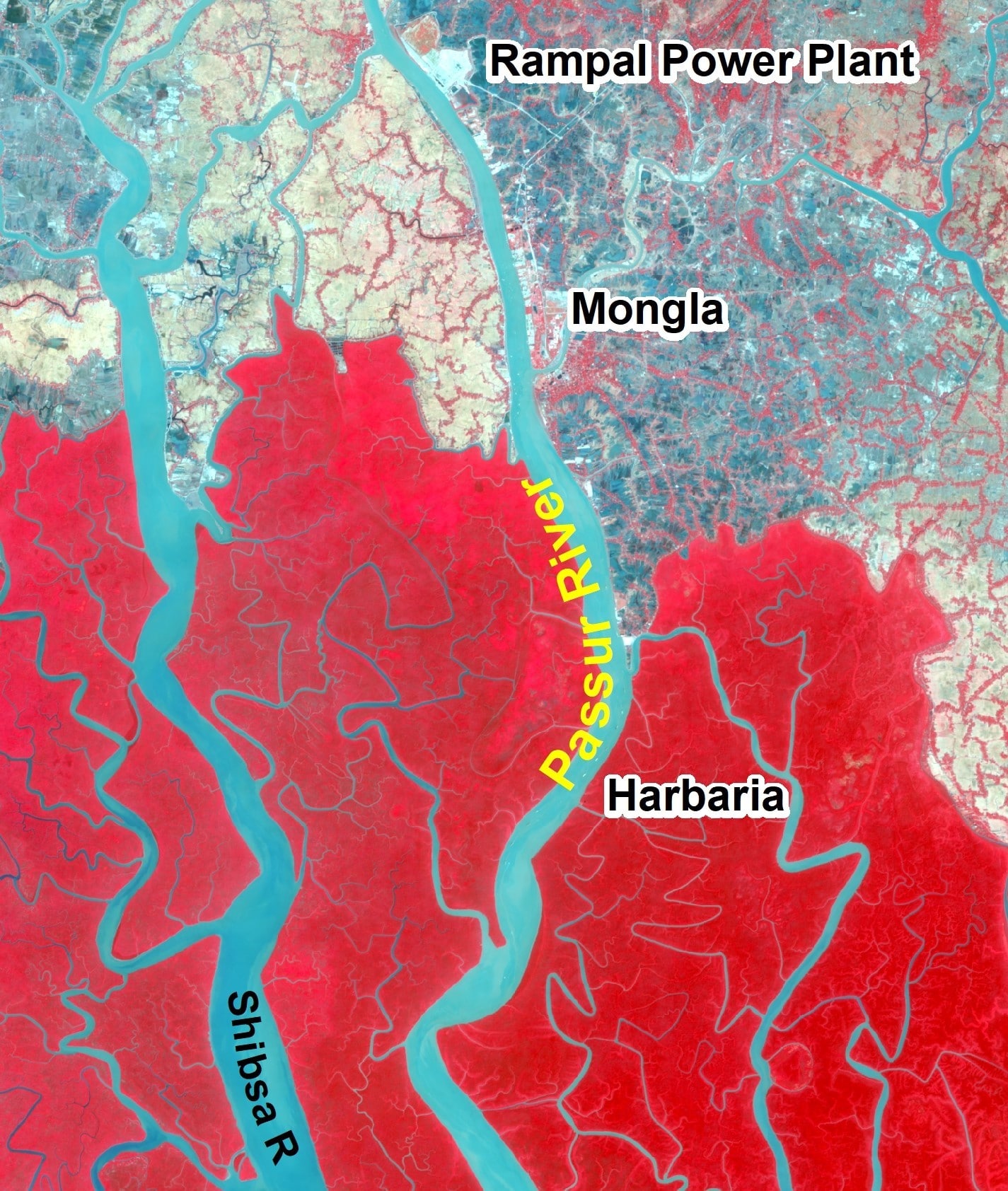 The Pasur River - Life is meaningless without Information