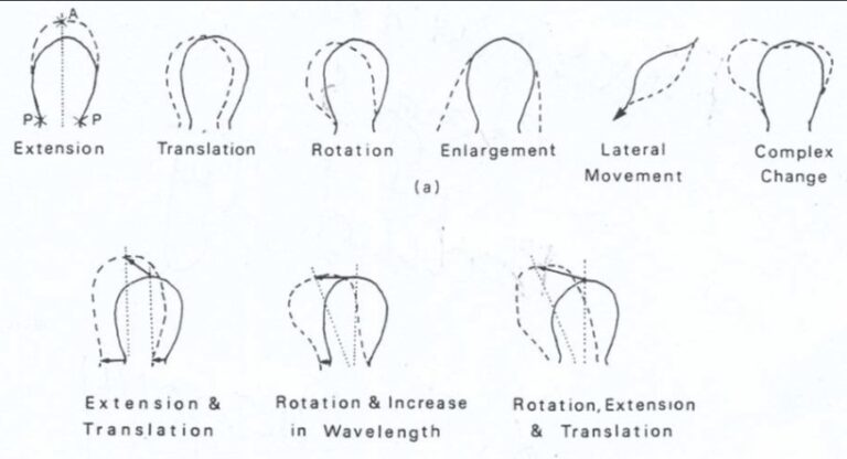 Bend Development of the Padma River